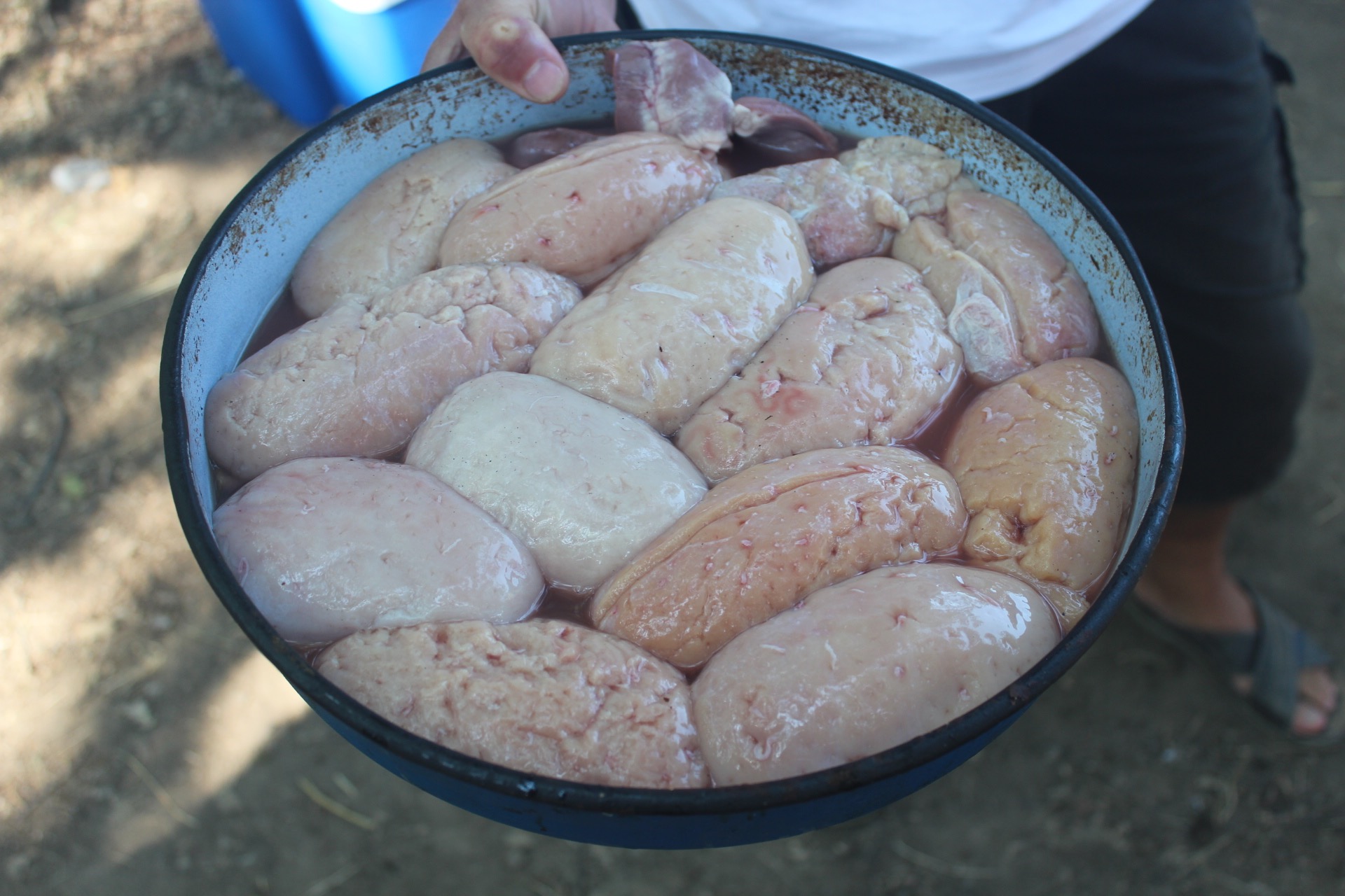 Notes from the 13th Annual World Testicle Cooking Championship ...